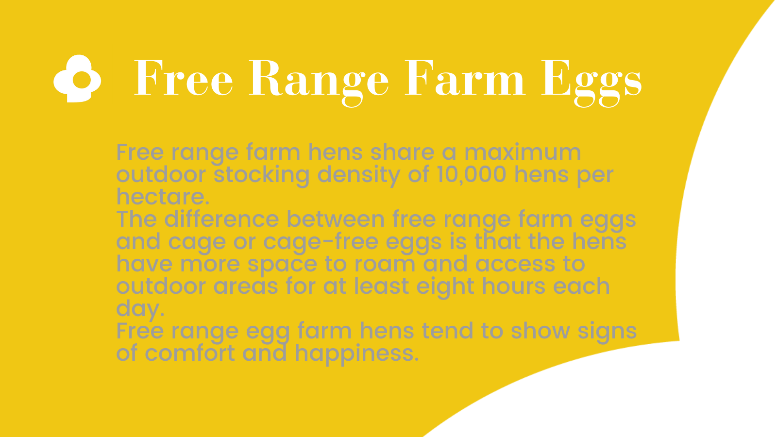 Free Range Egg Farm Practices: The Differences in Eggs - Eggzi
