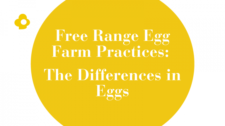 Free Range Egg Farm Practices: The Differences in Eggs - Eggzi